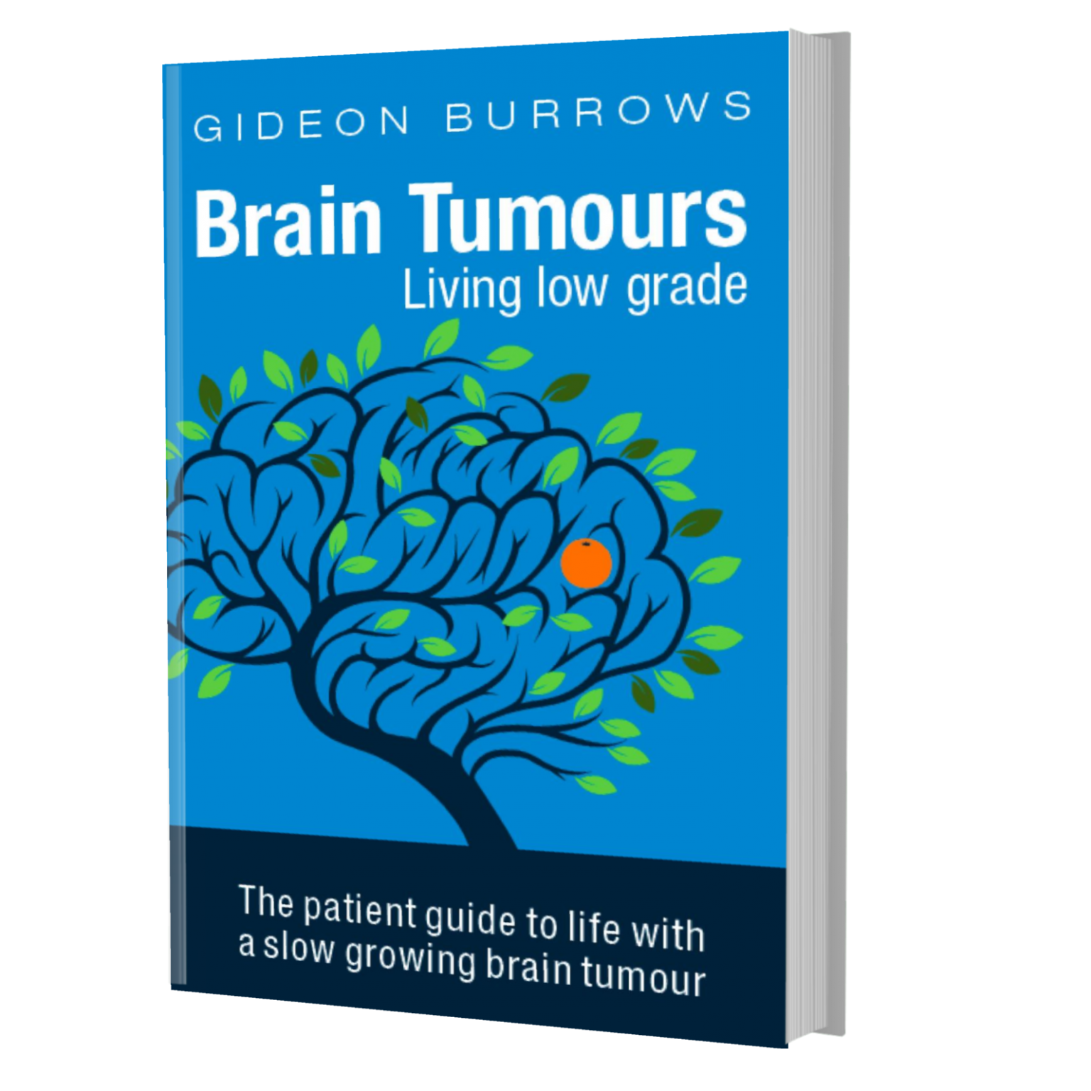 Brain Tumours: Living Low Grade – Gideon Burrows
