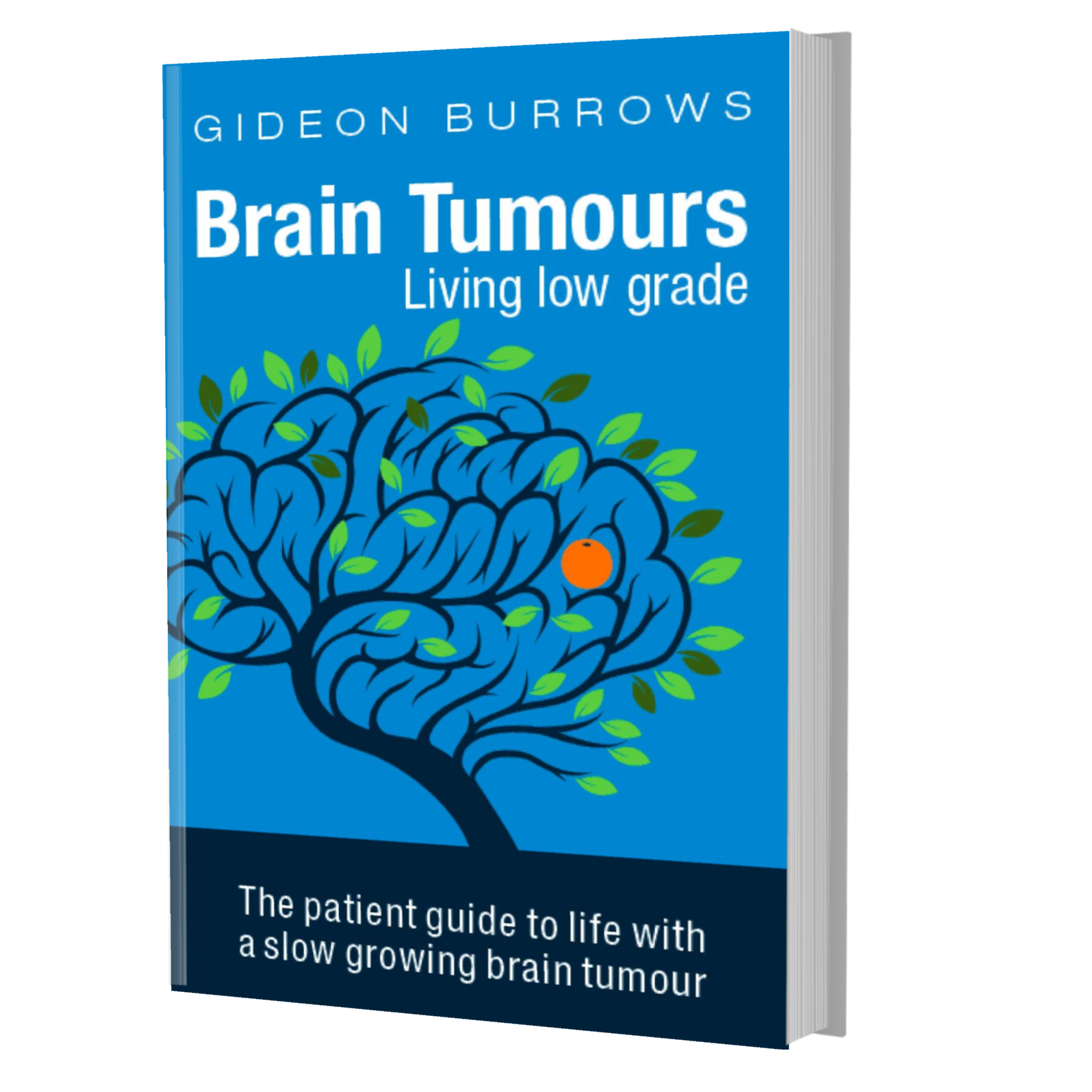 Brain Tumours: Living Low Grade – Gideon Burrows