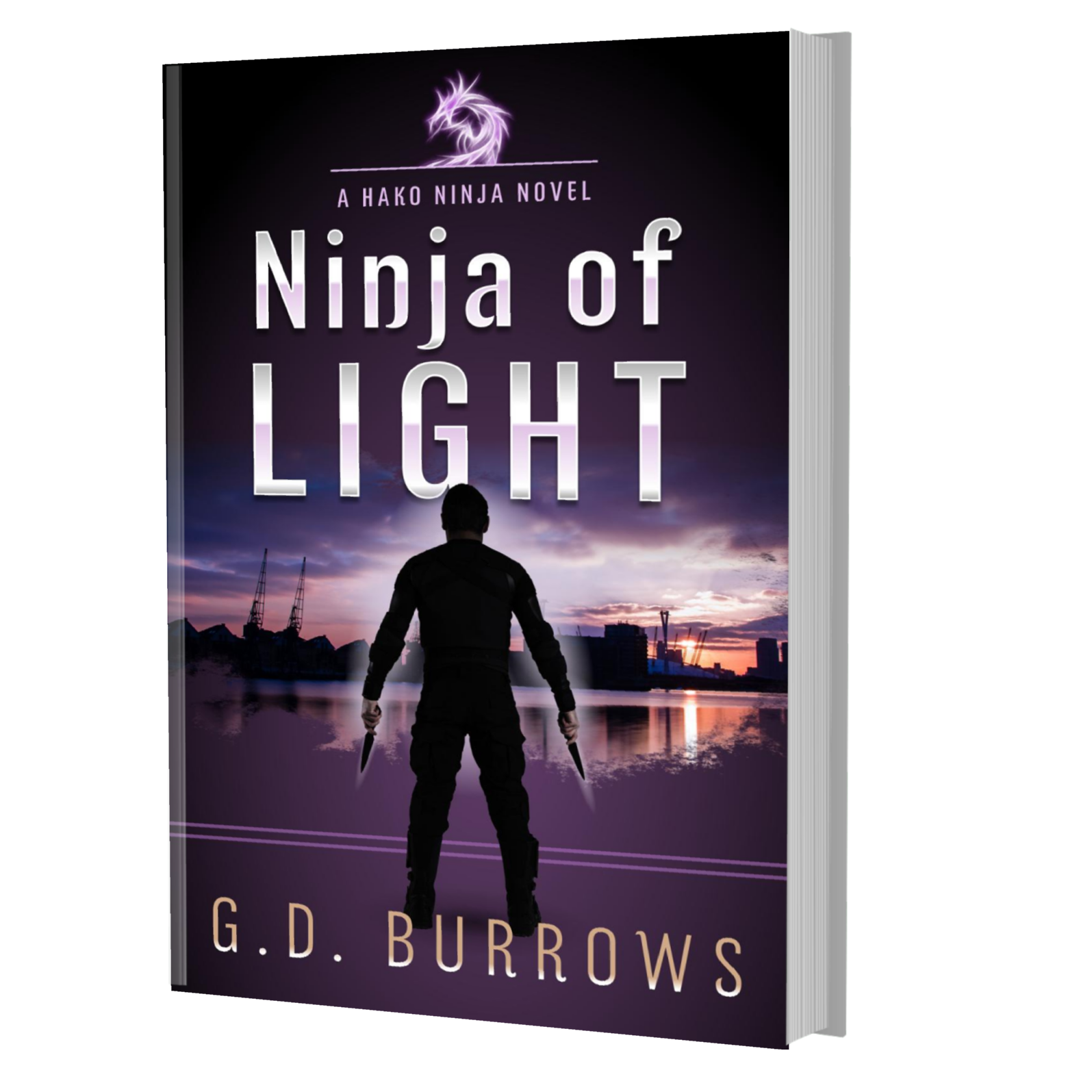 Ninja of Light : A Hako Ninja Novel – Gideon Burrows